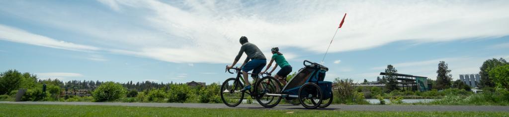 Thru Axles for Bicycles | 12mm and 15mm | The Robert Axle Project